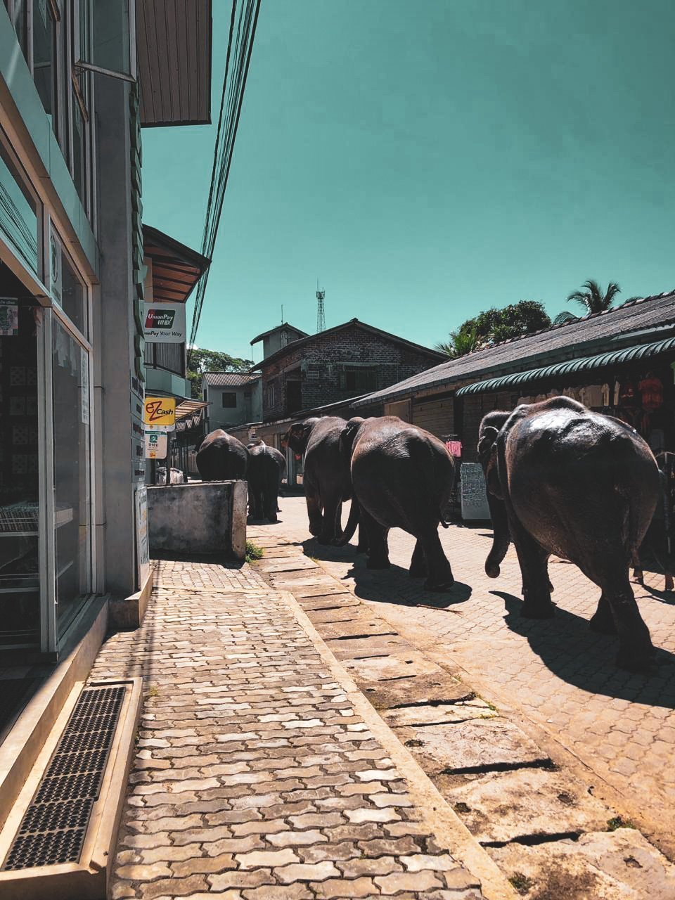 Rambukkana - Chasing Guilders